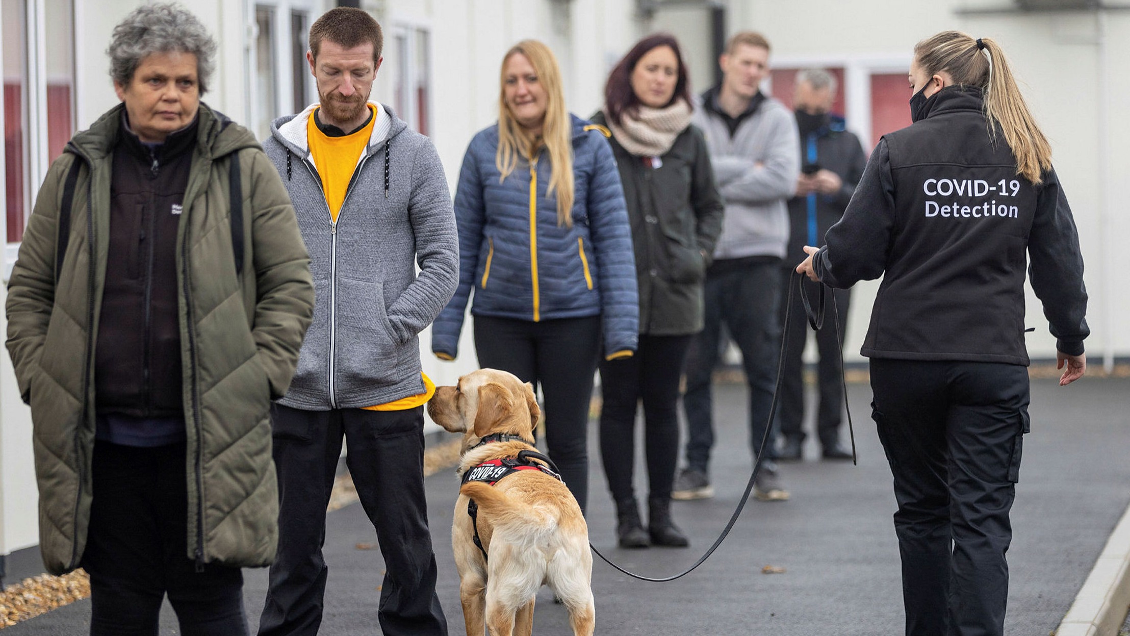 A Sniffer Dog Meaning